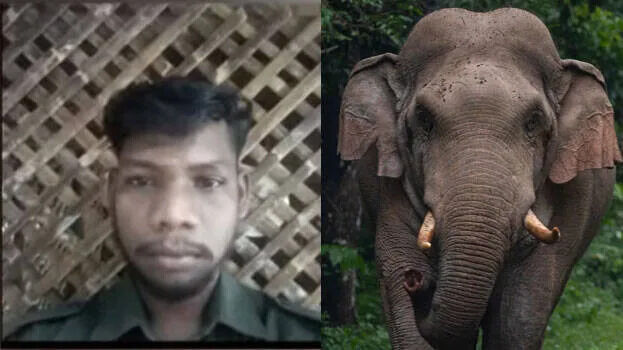 വാഴച്ചാലില്‍ കാട്ടാന ആക്രമണത്തില്‍ രണ്ടുപേര്‍ കൊല്ലപ്പെട്ട സംഭവം ...